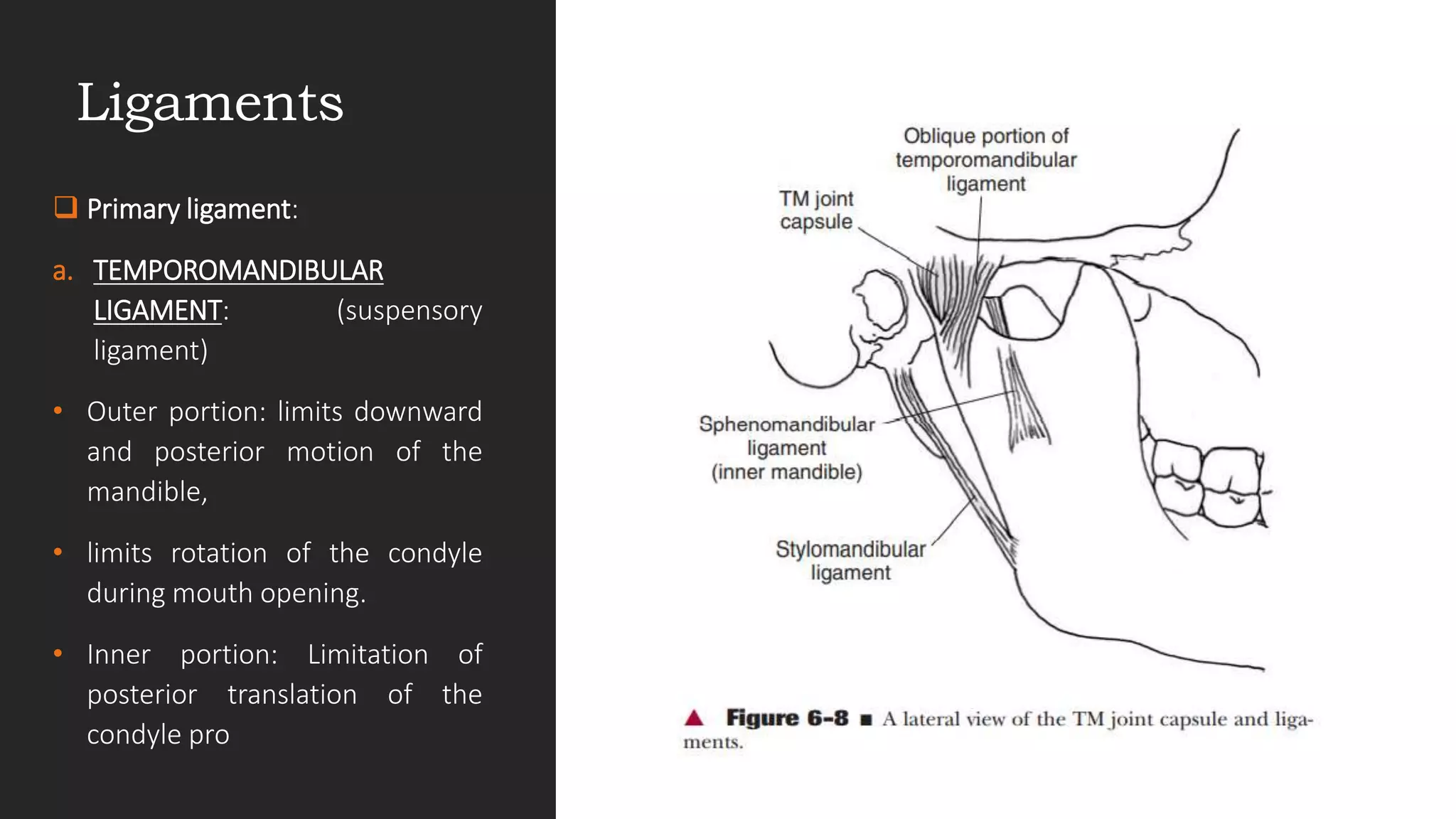 BIOMECHANICS - Tmj.pptx