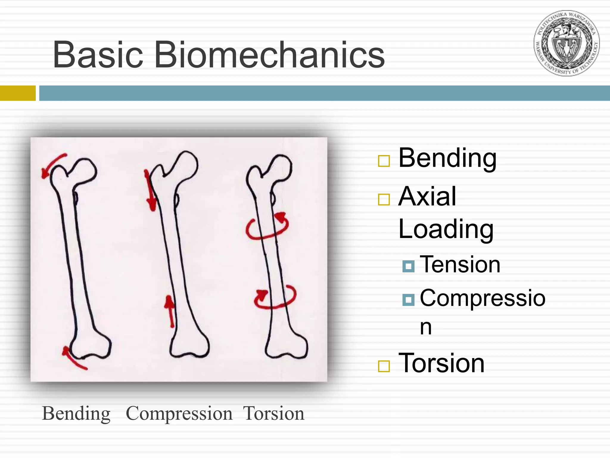 Biomechanics of Bones | PPTX