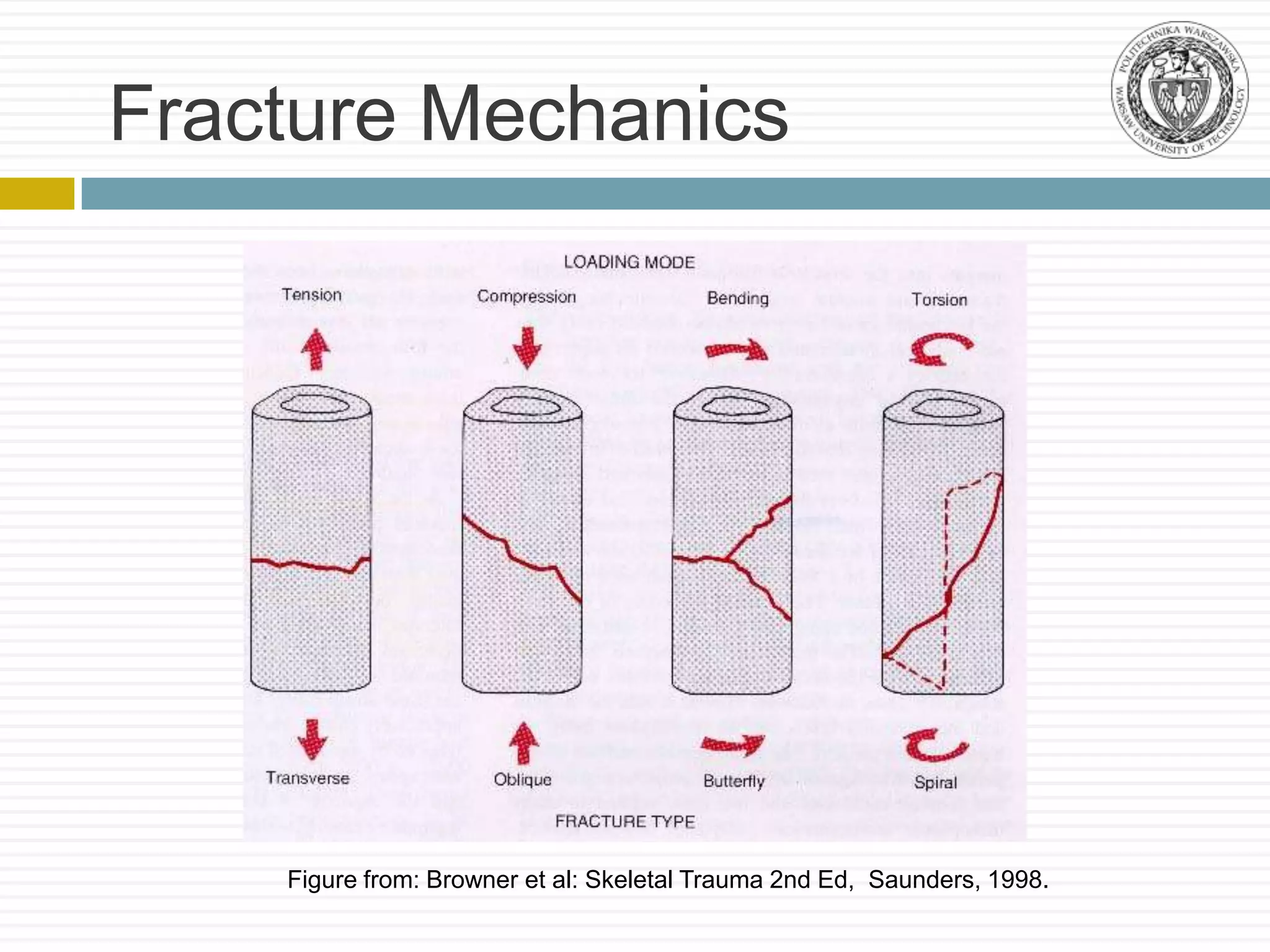 Biomechanics of Bones | PPTX