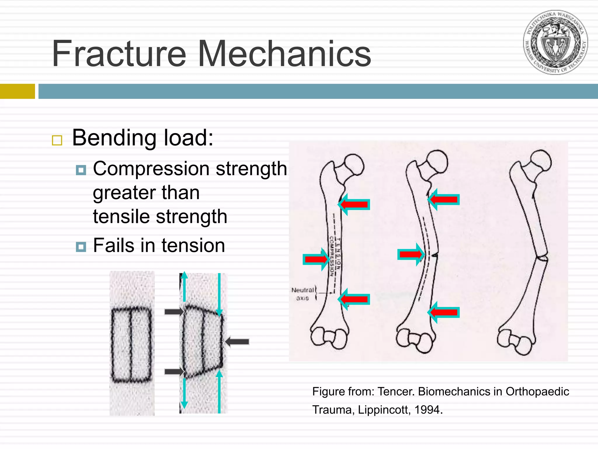 Biomechanics of Bones | PPTX