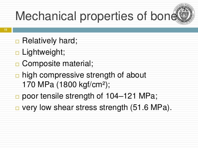 Biomechanics of Bones