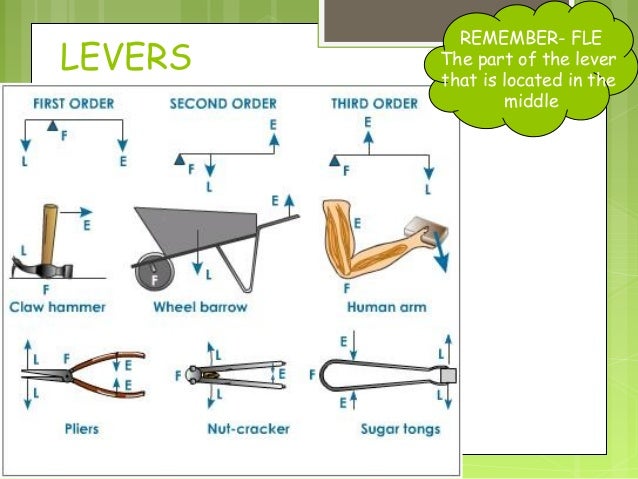 Biomechanics 1 (intro, levers, planes and axis) 2015