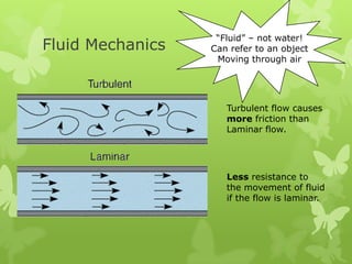 Biomechanics 5 fluid dynamics | PPT