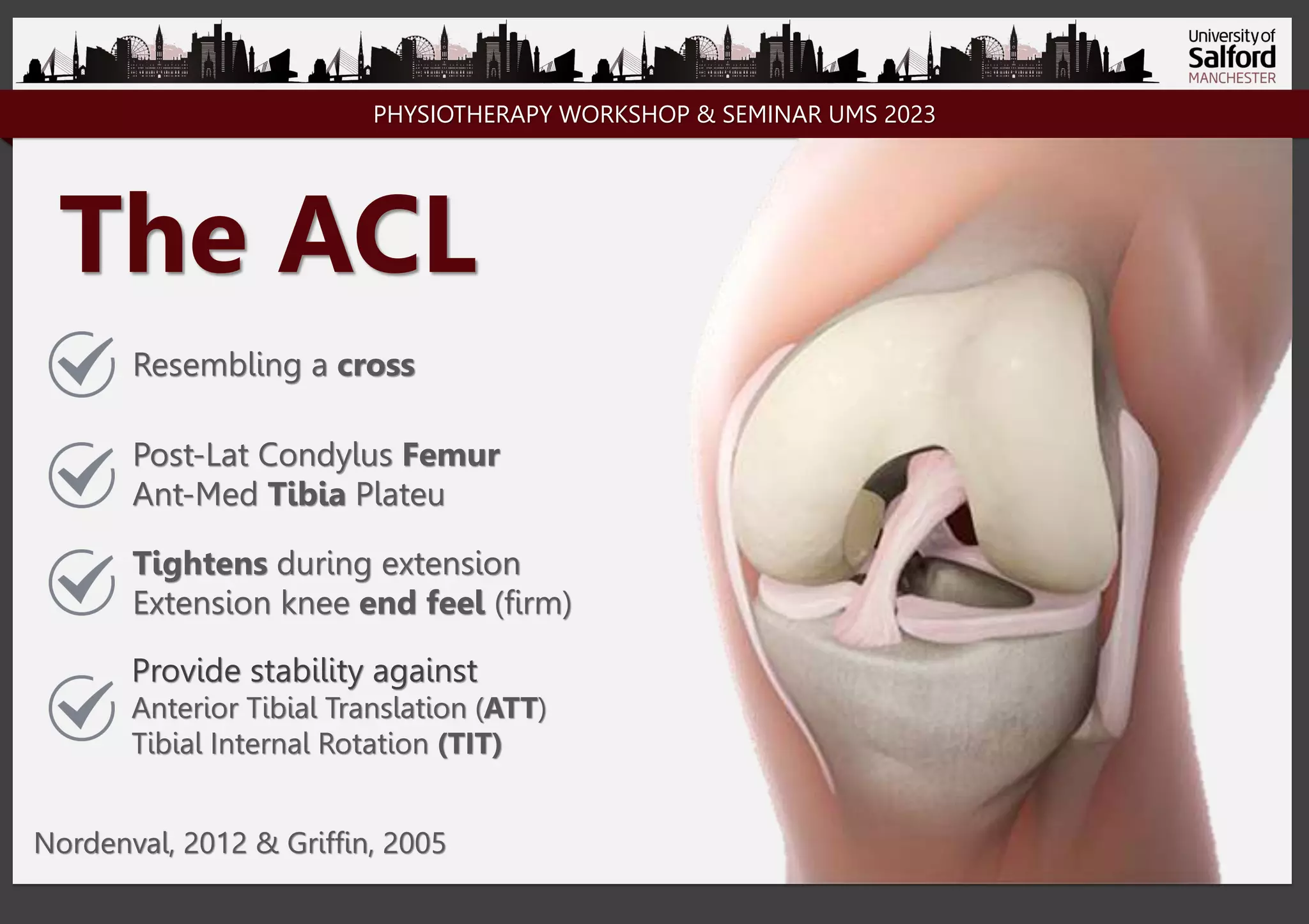 Biomechanics ACL.pptx