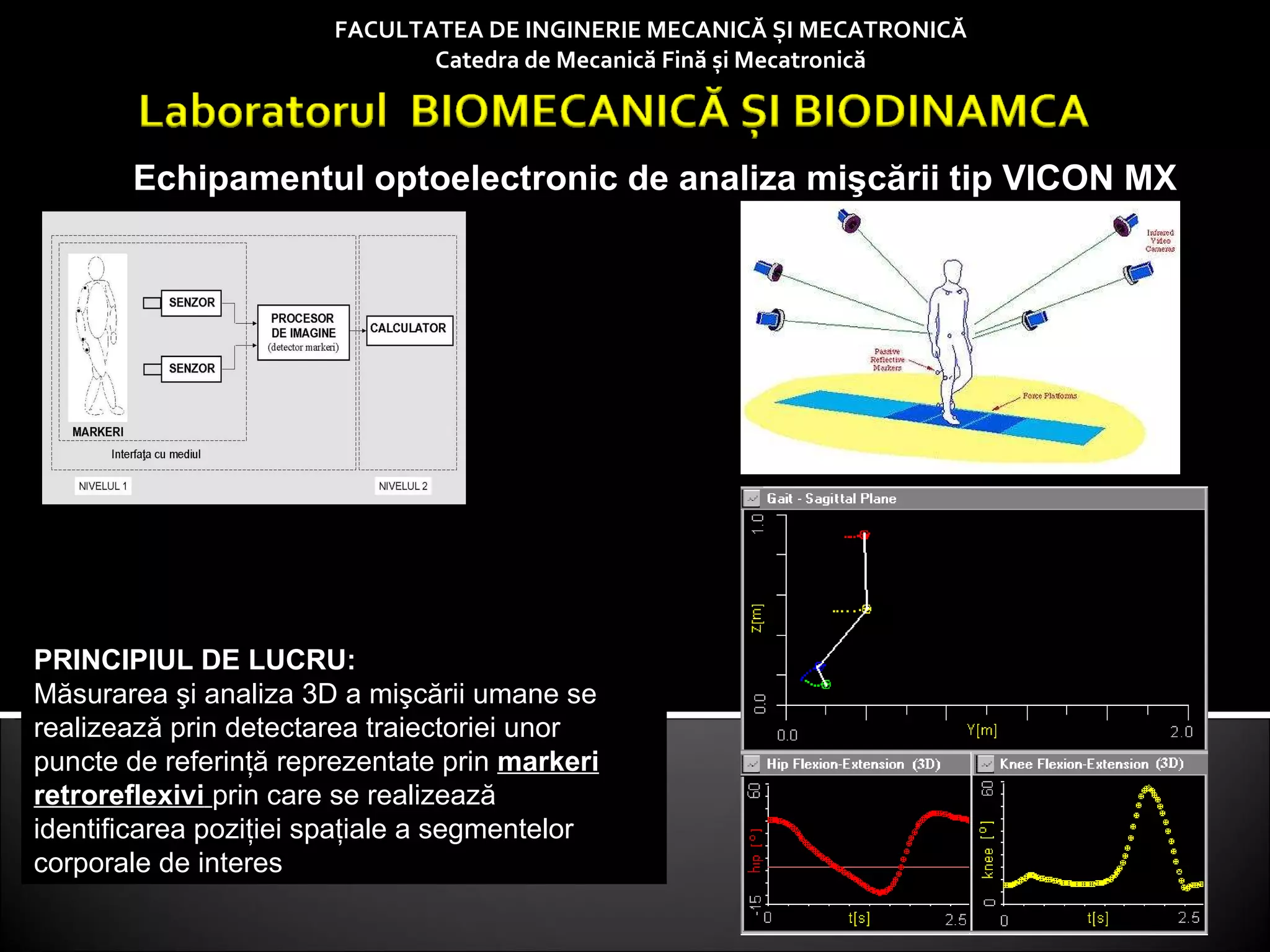 laborator Biomecanica si biodinamica 1 | PPT