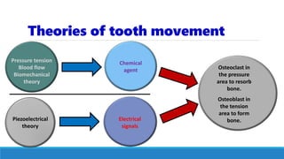Biomechanics and mechanics of tooth movement | PPTX