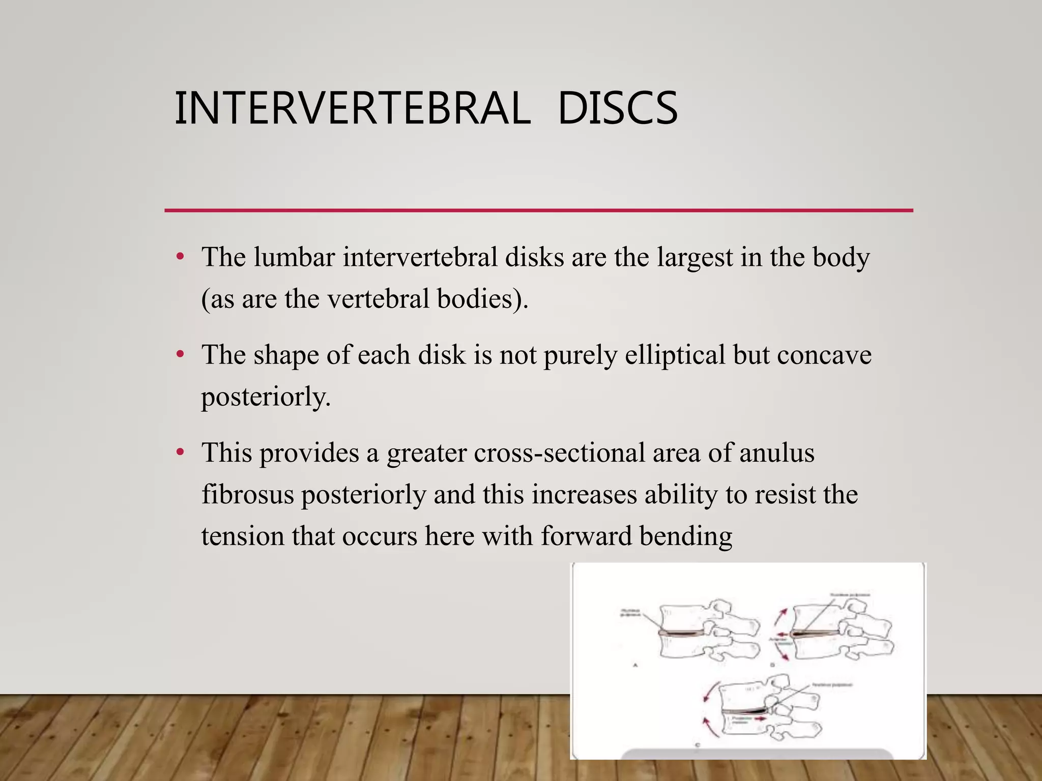 Biomechanics and pathomechanics of lumbosacral joint | PPTX