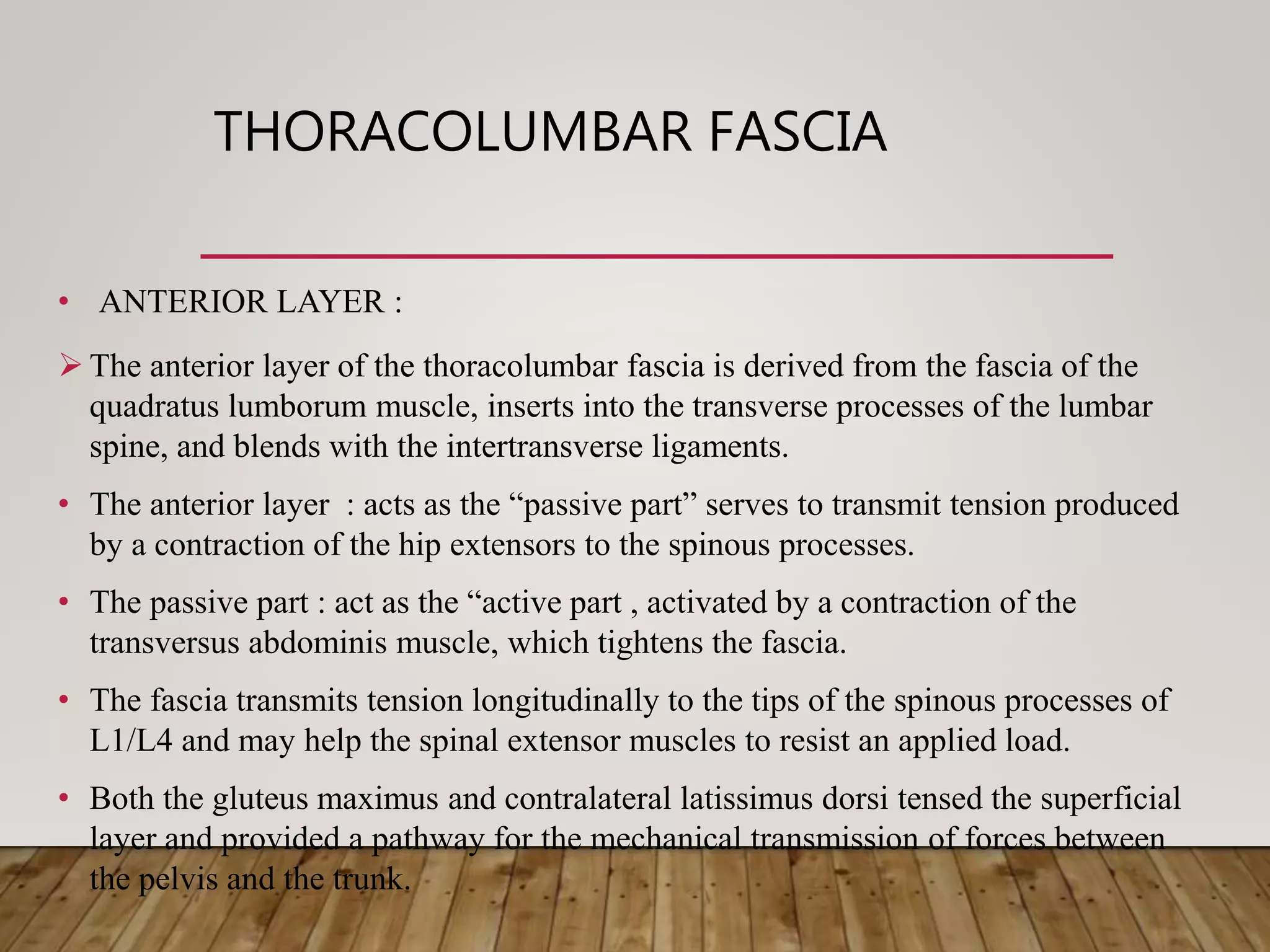 Biomechanics and pathomechanics of lumbosacral joint | PPTX