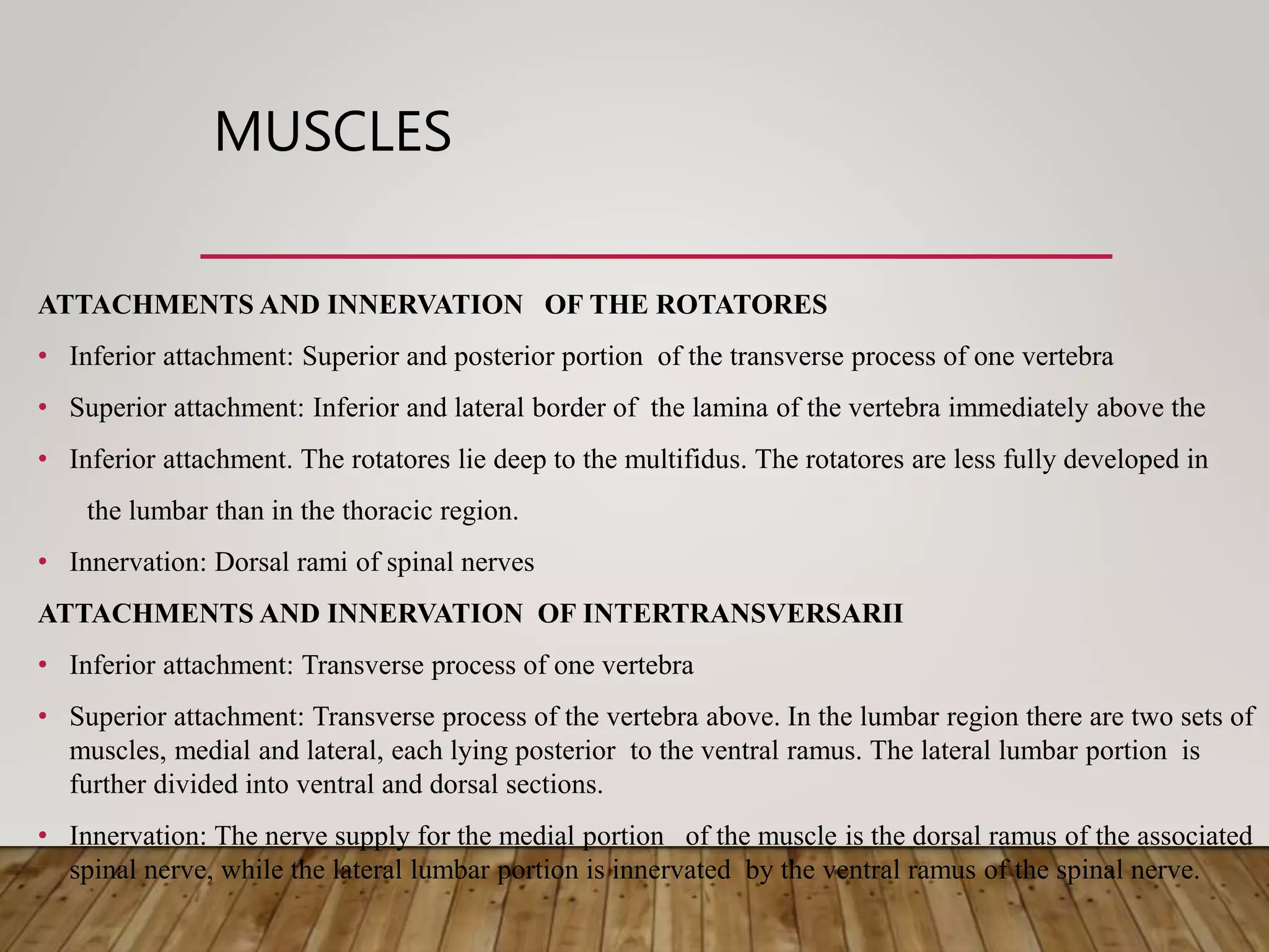 Biomechanics and pathomechanics of lumbosacral joint | PPTX