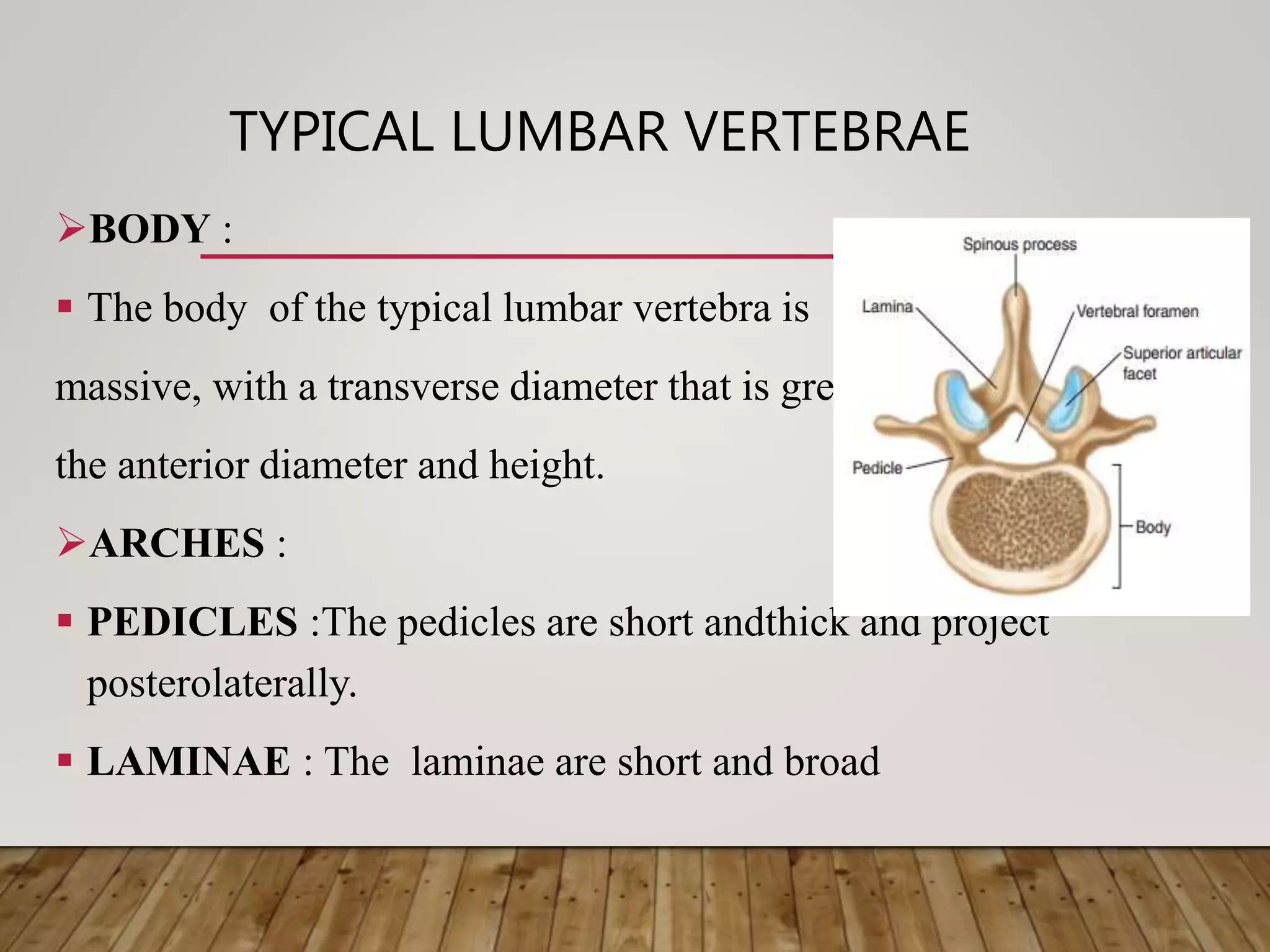 Biomechanics and pathomechanics of lumbosacral joint | PPTX