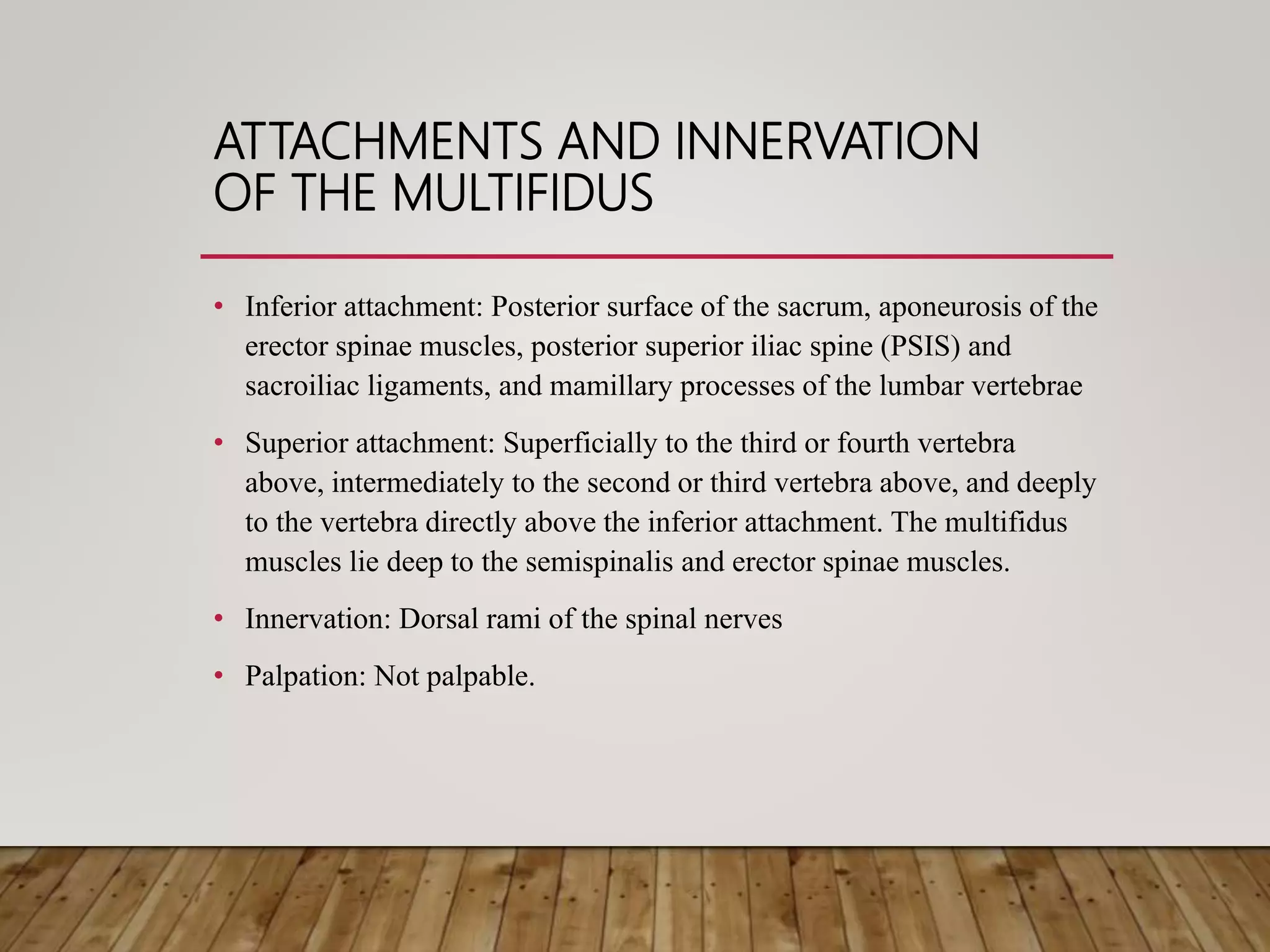 Biomechanics and pathomechanics of lumbosacral joint | PPTX