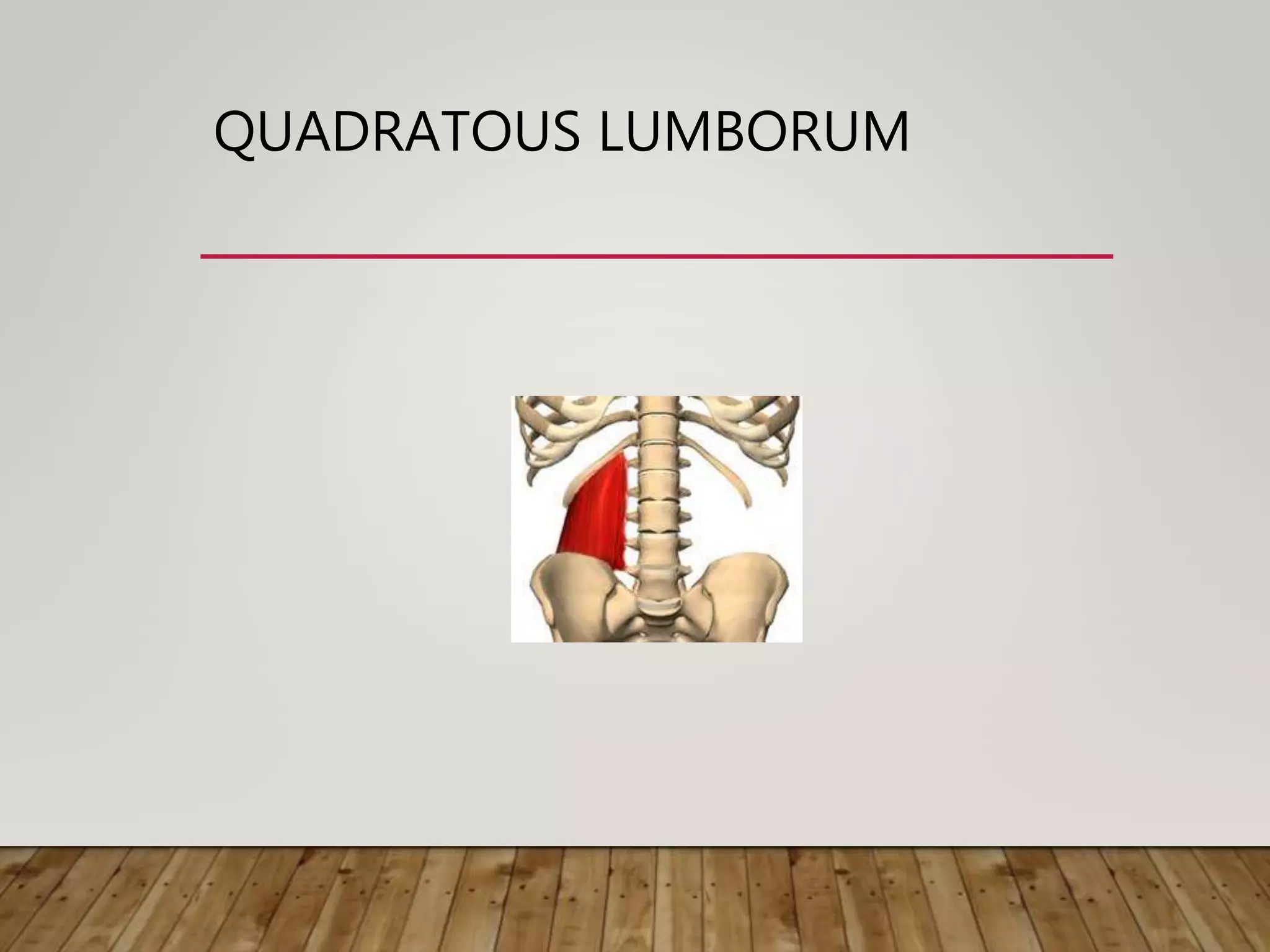Biomechanics and pathomechanics of lumbosacral joint | PPTX