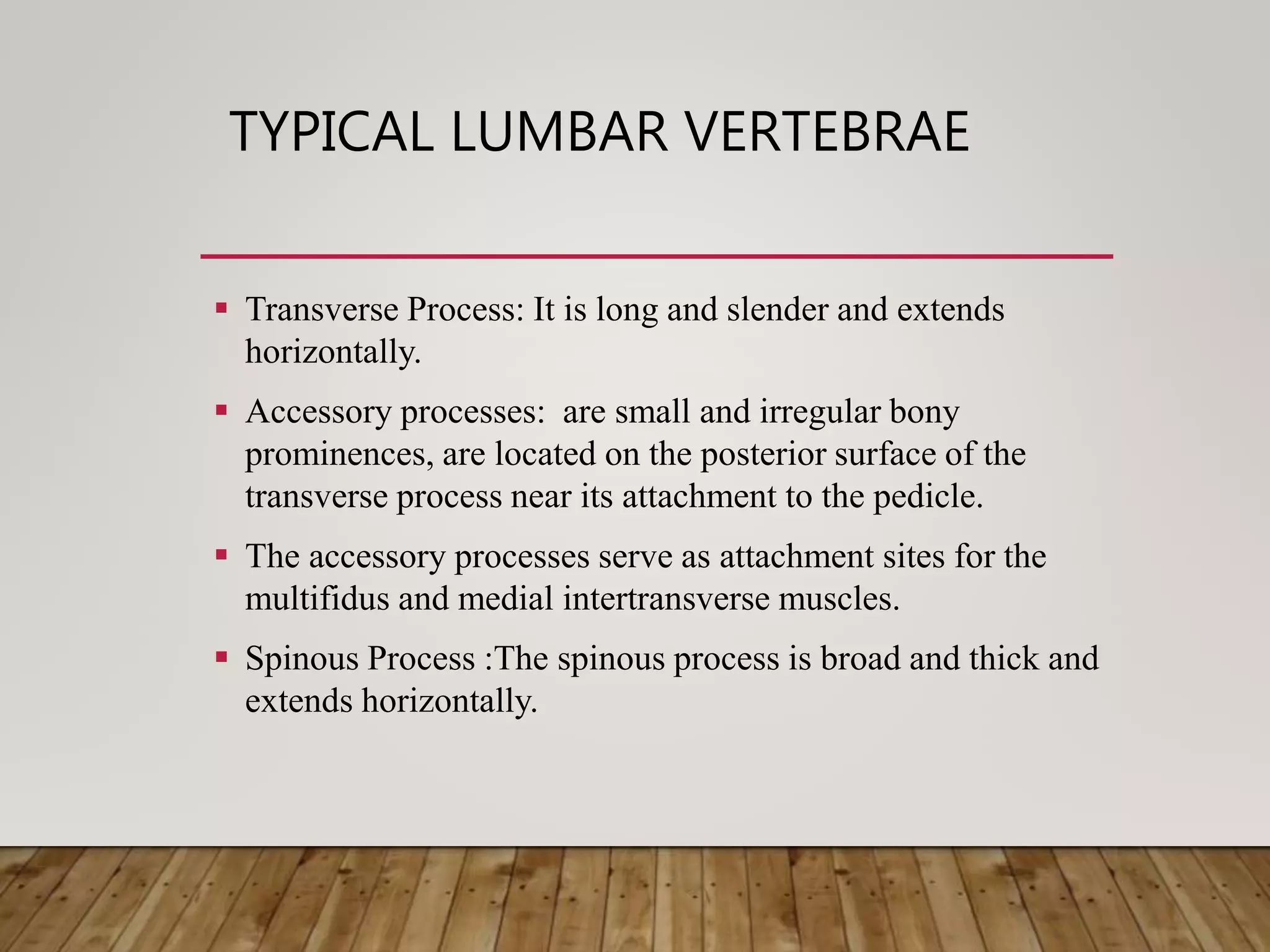 Biomechanics and pathomechanics of lumbosacral joint | PPTX