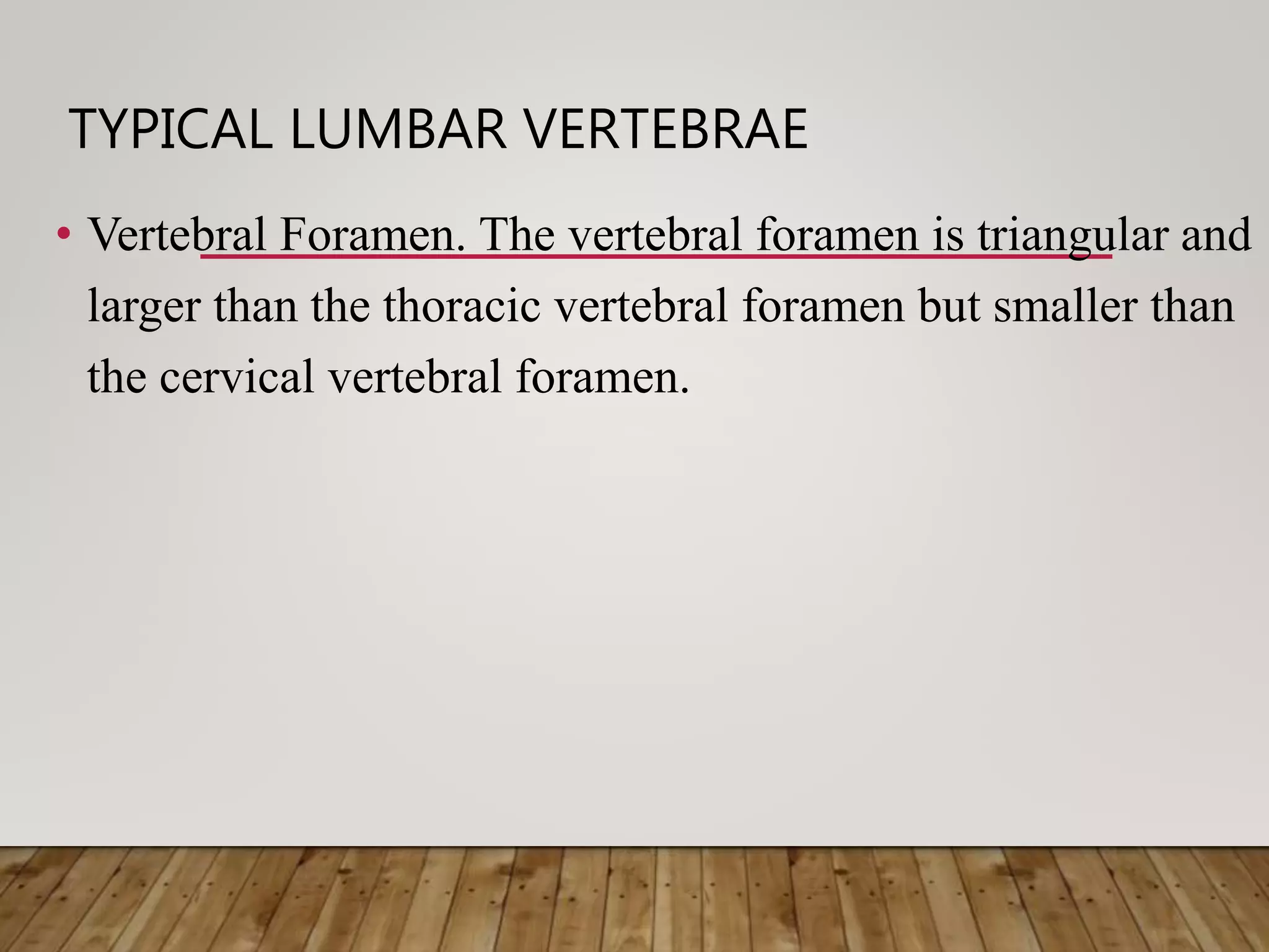 Biomechanics and pathomechanics of lumbosacral joint | PPTX