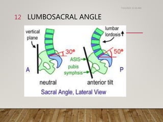 Biomechanics and pathomechanics of lumbosacral joint | PPTX