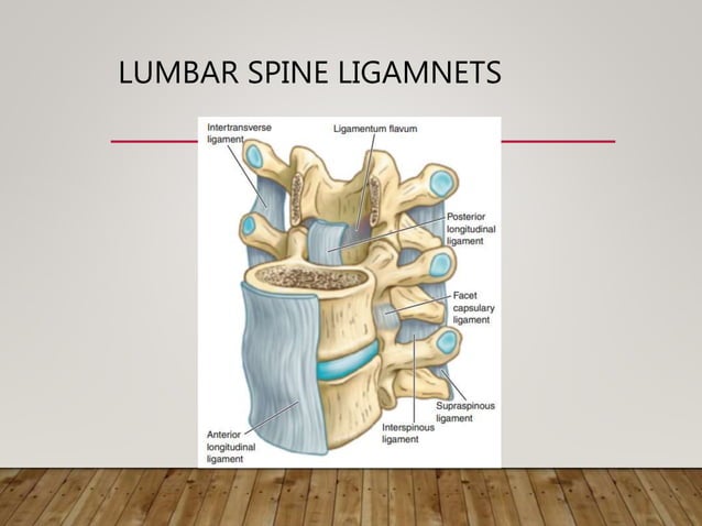 Biomechanics and pathomechanics of lumbosacral joint | PPTX