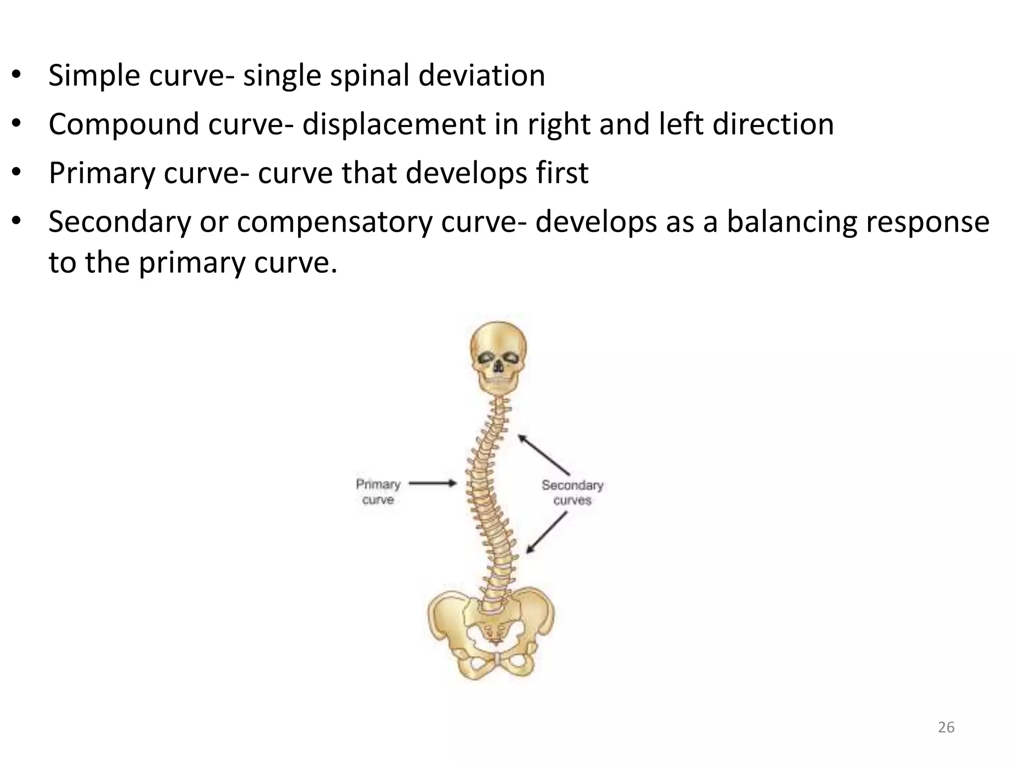 Biomechanics and pathomechanics of scoliosis | PPTX
