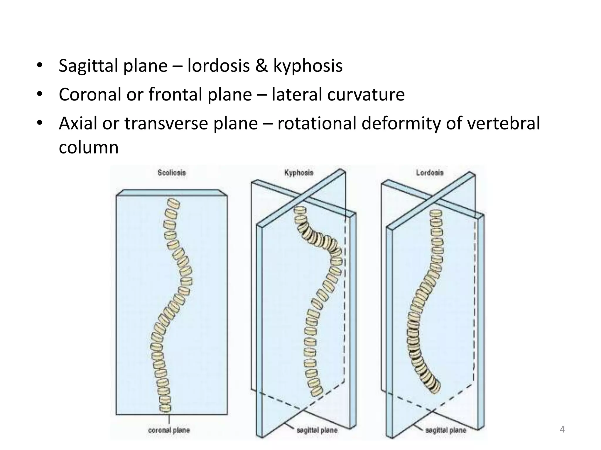 Biomechanics and pathomechanics of scoliosis | PPTX