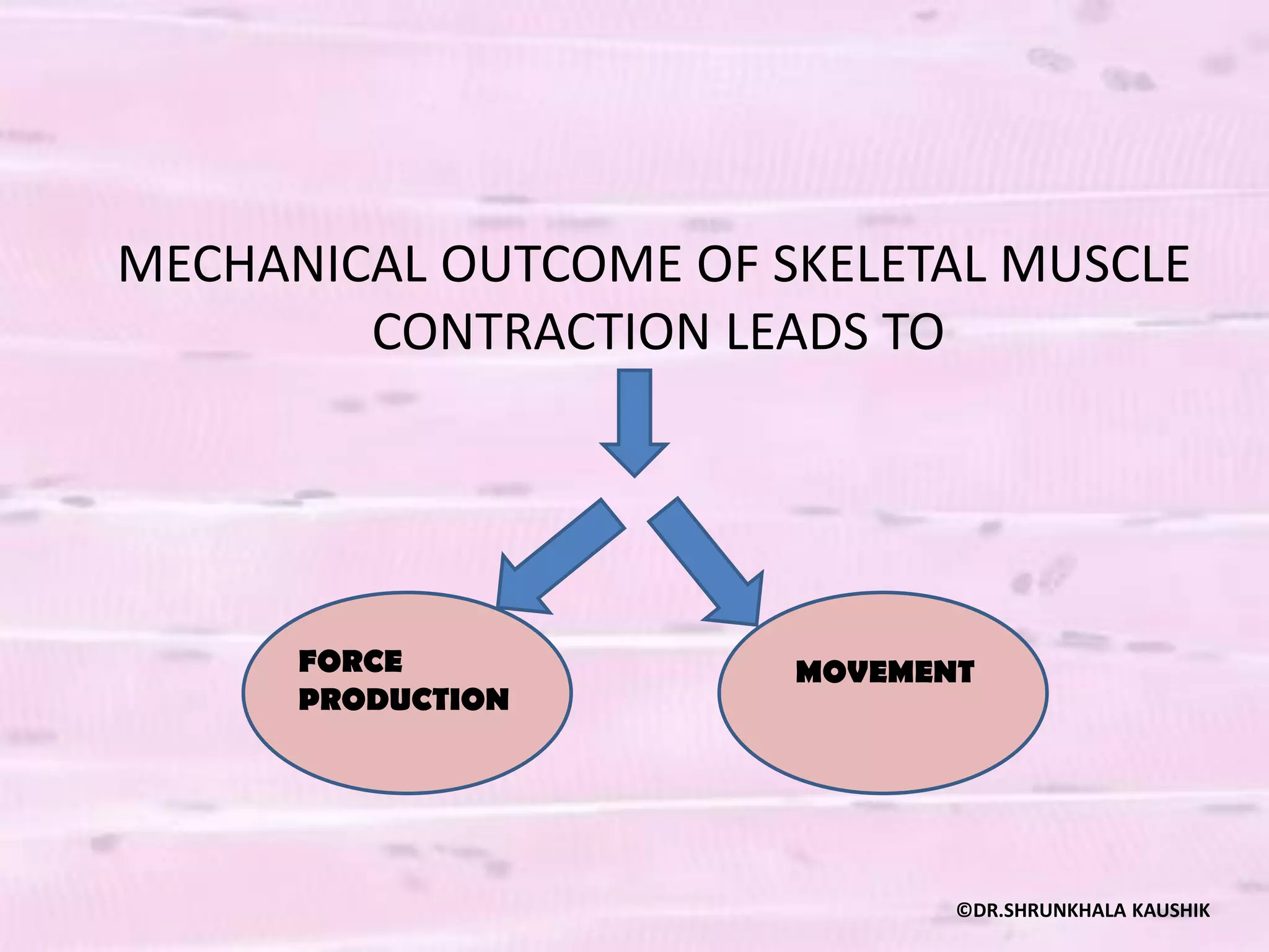 BIOMECHANICS AND PATHOMECHANICS OF SKELETAL MUSCLE | PDF