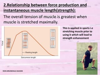 BIOMECHANICS AND PATHOMECHANICS OF SKELETAL MUSCLE | PDF