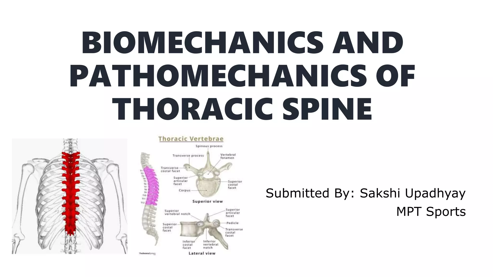 BIOMECHANICS AND PATHOMECHANICS OF THORACIC SPINE.pptx