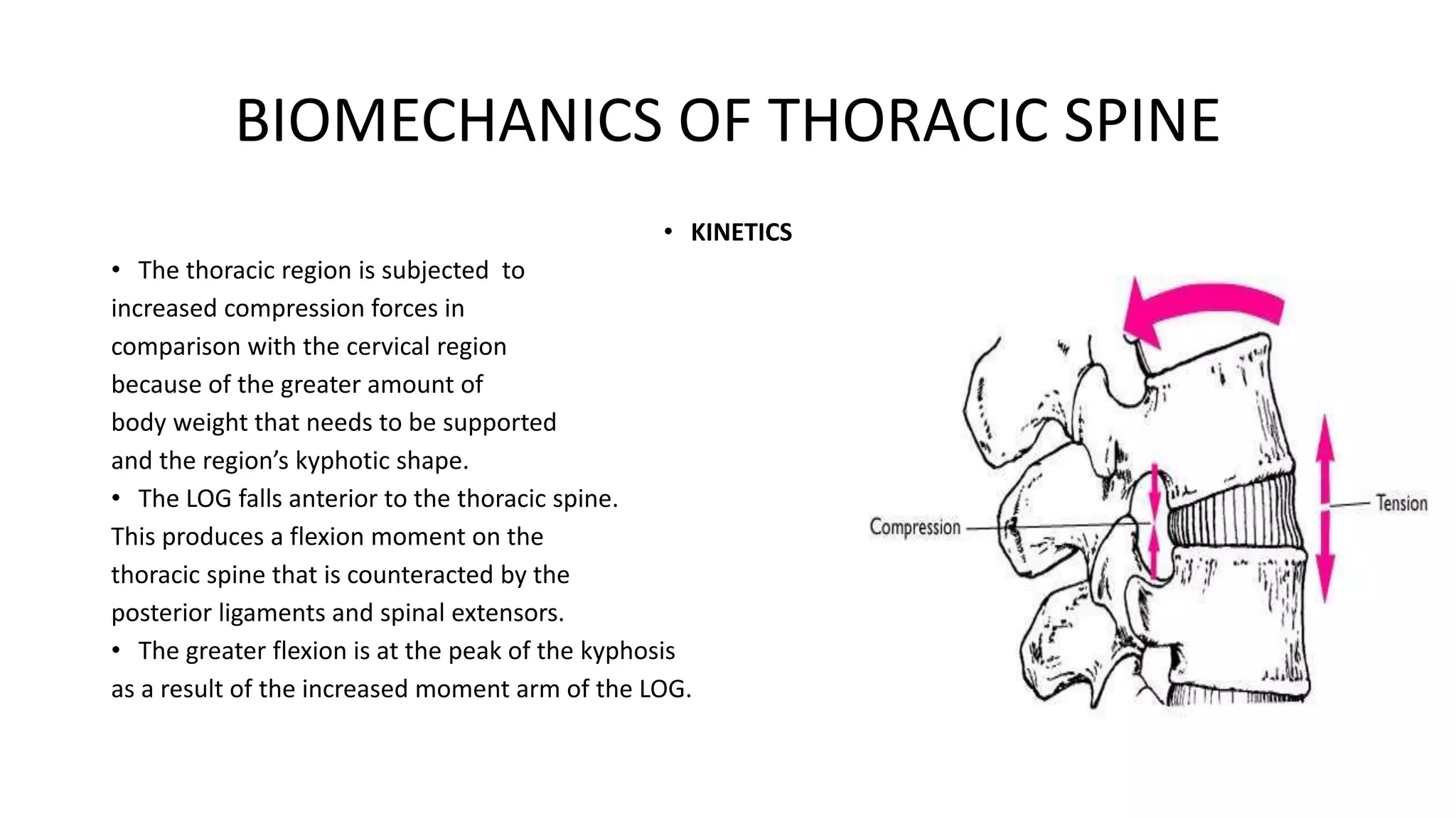 BIOMECHANICS AND PATHOMECHANICS OF THORACIC SPINE.pptx