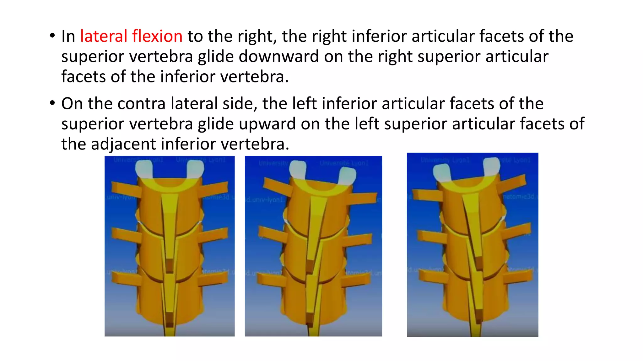 BIOMECHANICS AND PATHOMECHANICS OF THORACIC SPINE.pptx