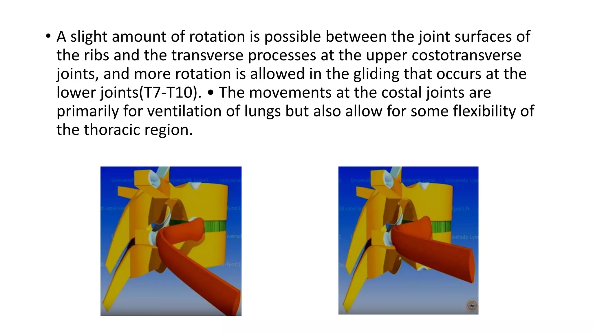 BIOMECHANICS AND PATHOMECHANICS OF THORACIC SPINE.pptx