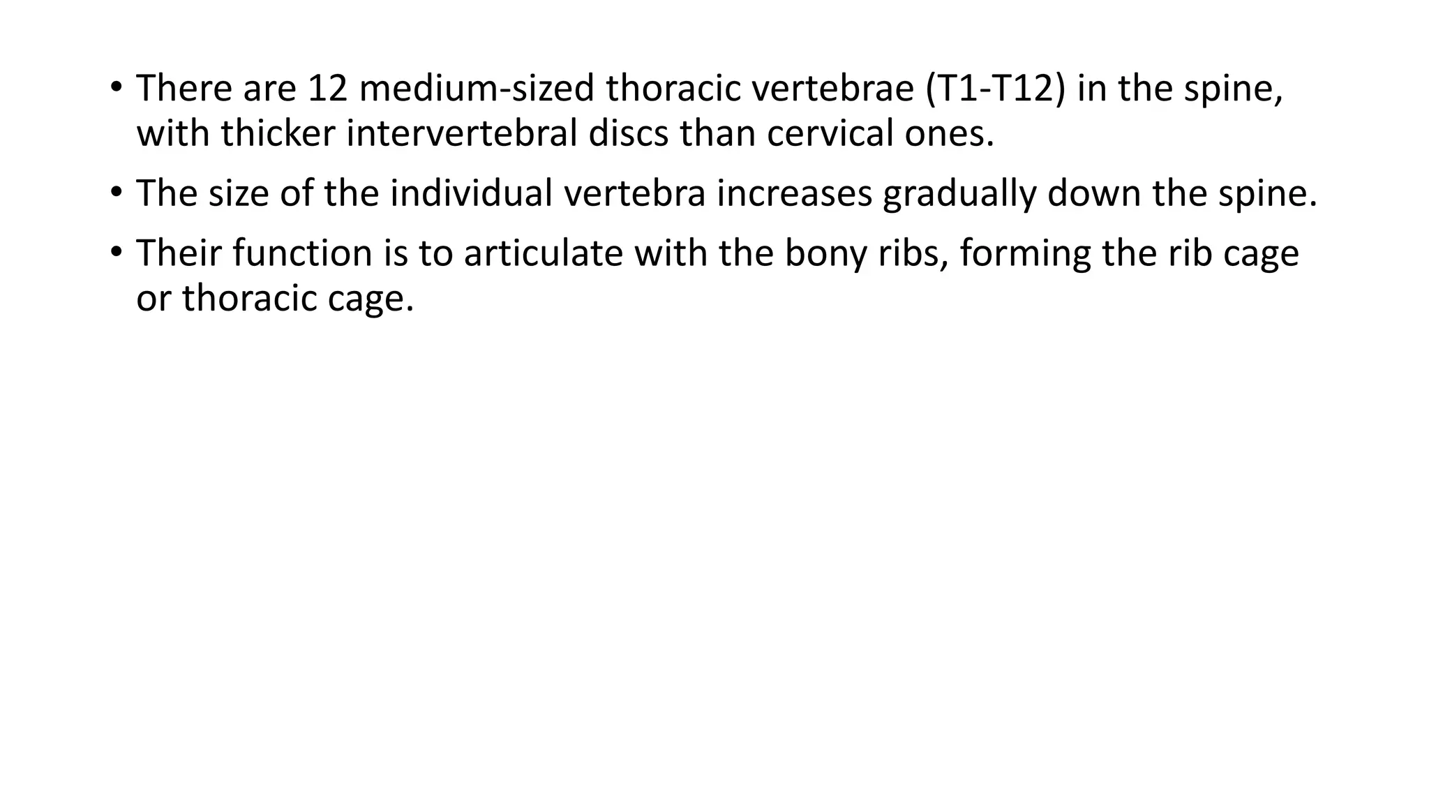 BIOMECHANICS AND PATHOMECHANICS OF THORACIC SPINE.pptx
