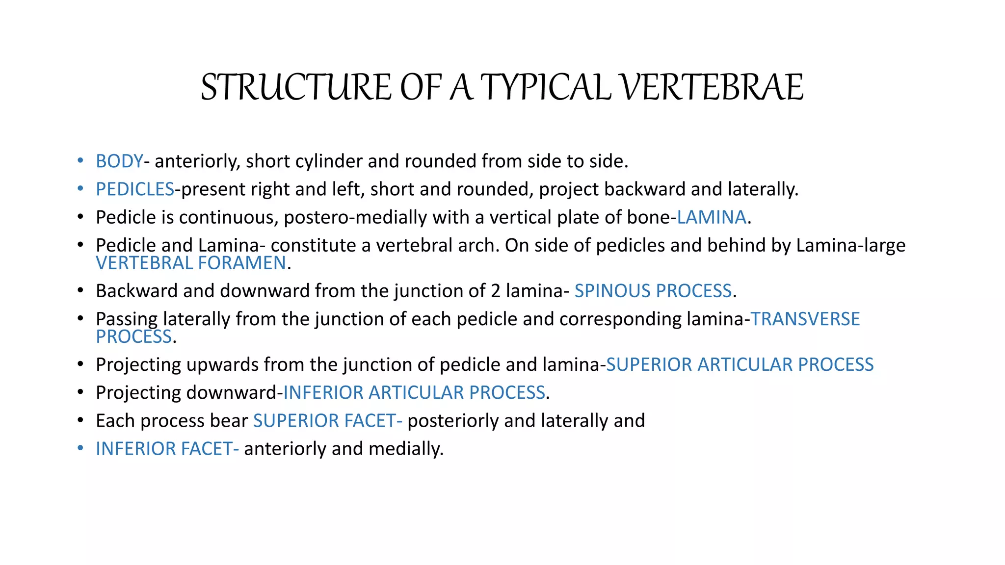 BIOMECHANICS AND PATHOMECHANICS OF THORACIC SPINE.pptx