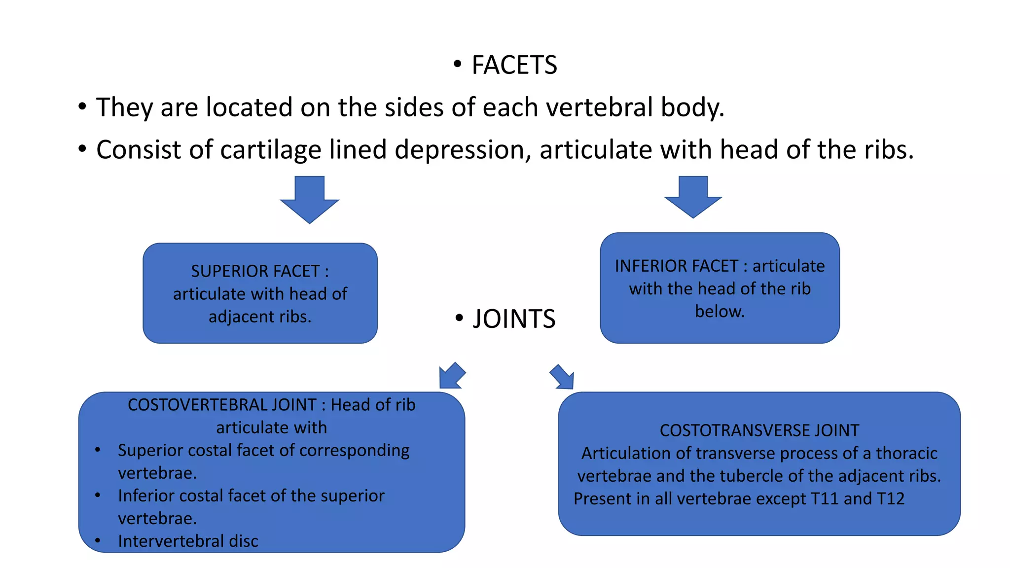 BIOMECHANICS AND PATHOMECHANICS OF THORACIC SPINE.pptx