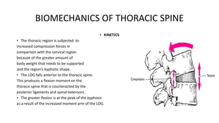 BIOMECHANICS AND PATHOMECHANICS OF THORACIC SPINE.pptx