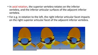 BIOMECHANICS AND PATHOMECHANICS OF THORACIC SPINE.pptx