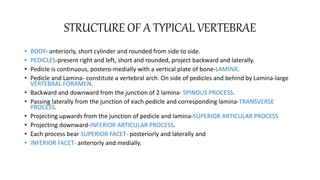 BIOMECHANICS AND PATHOMECHANICS OF THORACIC SPINE.pptx