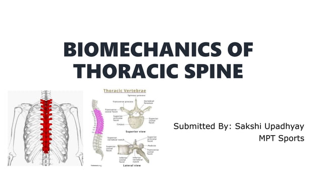 BIOMECHANICS AND PATHOMECHANICS OF THORACIC SPINE.pptx