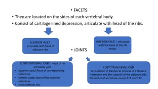 BIOMECHANICS AND PATHOMECHANICS OF THORACIC SPINE.pptx