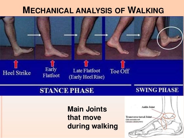 Biomechanics and Sports