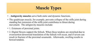 BIOMECHANICS [Autosaved].pptx