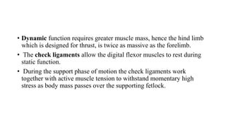 BIOMECHANICS [Autosaved].pptx