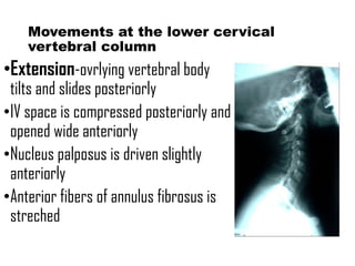 Biomechanics Cervical concern movement issues in cervical segment of ...
