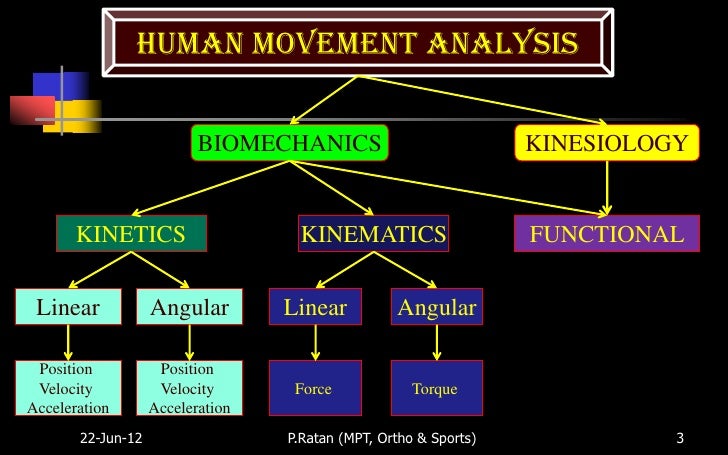 Biomechanics concepts
