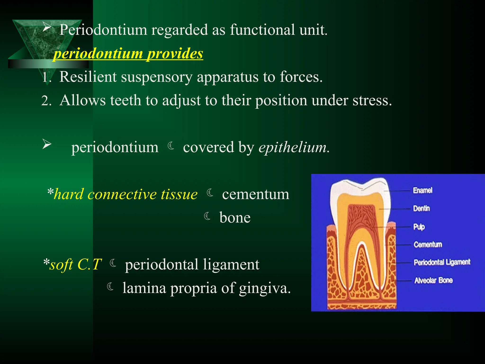 BIOMECHANICS OF EDENTULOUS STATE IN PROSTHODONTICS | PPTX | Oral care ...