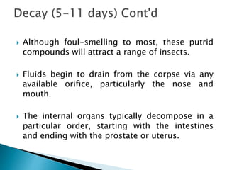 Biomechanics+forensic+decomposition | PPTX
