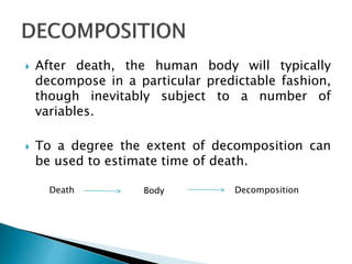 Biomechanics+forensic+decomposition | PPTX