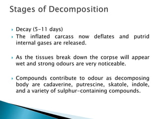 Biomechanics+forensic+decomposition | PPTX