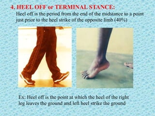 Biomechanics gait | PPTX