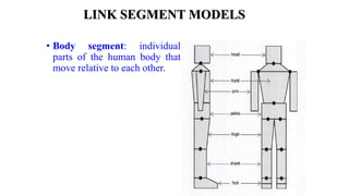 Biomechanics III- link segment module .. | PDF