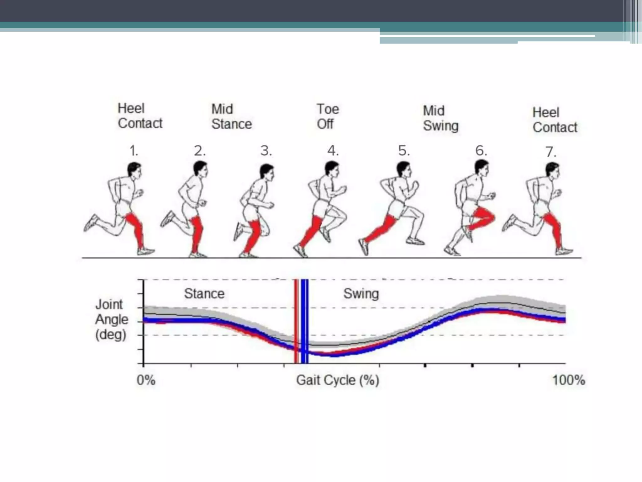 Biomechanics in sports | PPTX