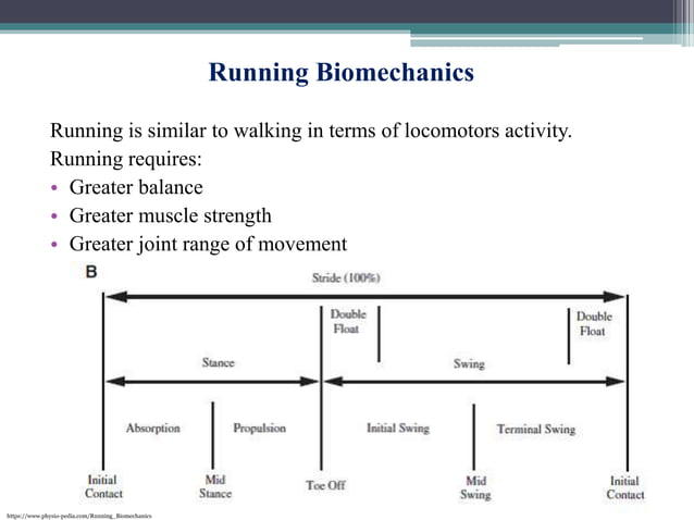 Biomechanics in sports | PPTX