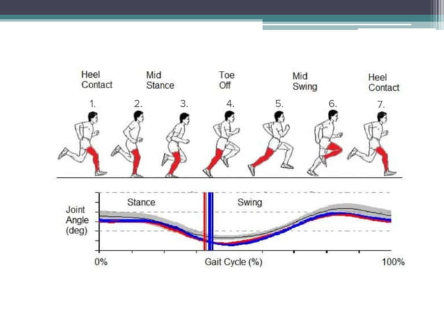 Biomechanics in sports | PPTX